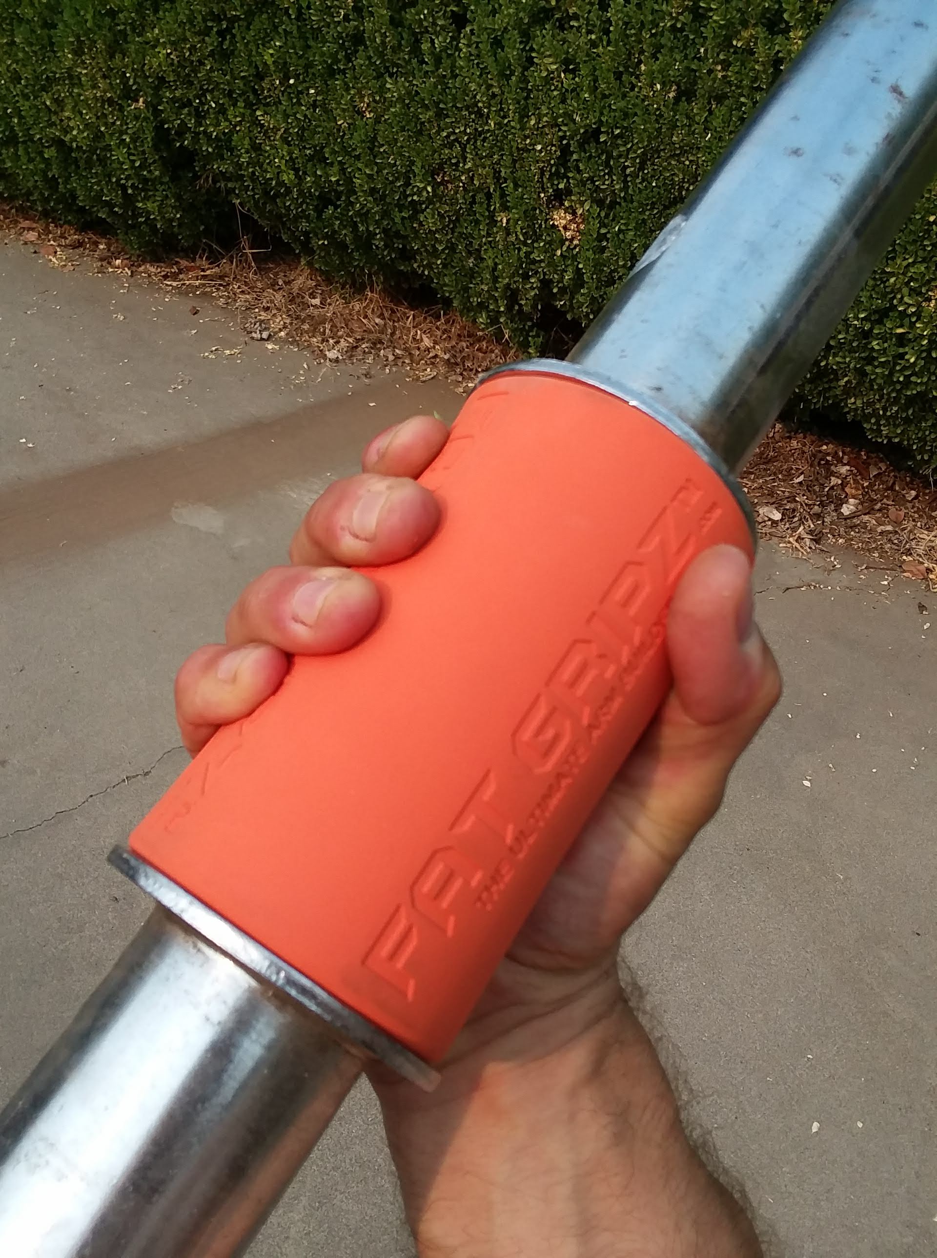 20180826_1612211 – Lean, Solid Dogs