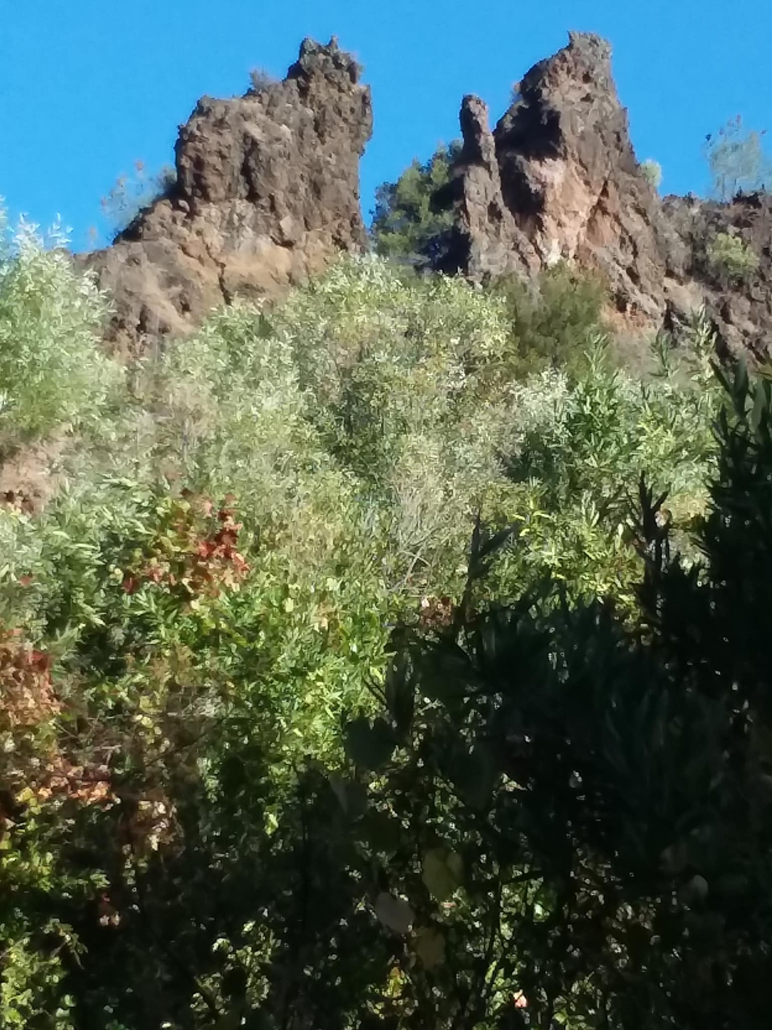 Space and Solitude – Lean, Solid Dogs