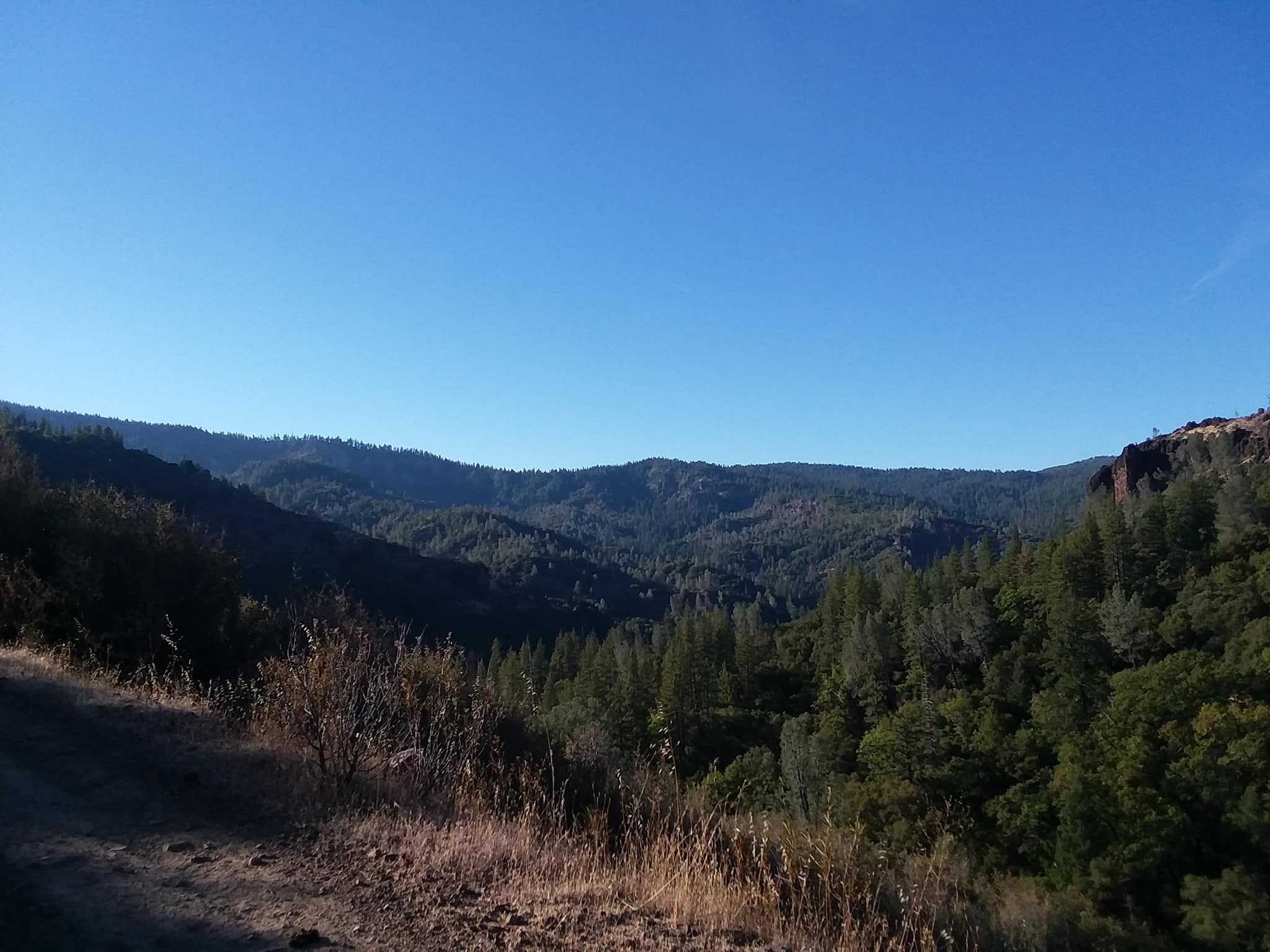 Space and Solitude – Lean, Solid Dogs