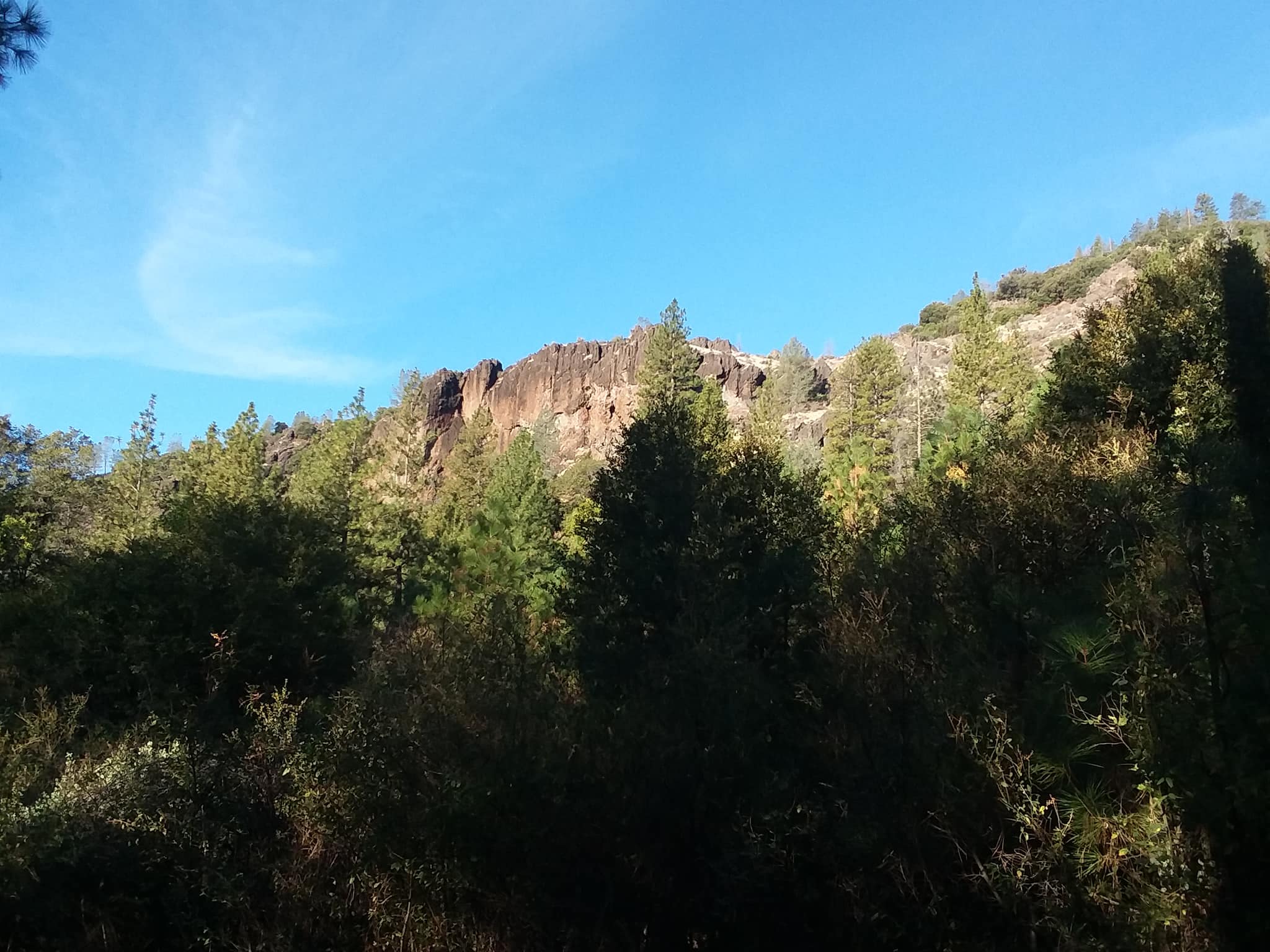 Space and Solitude – Lean, Solid Dogs