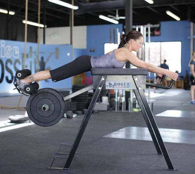 Assistance – Lean, Solid Dogs