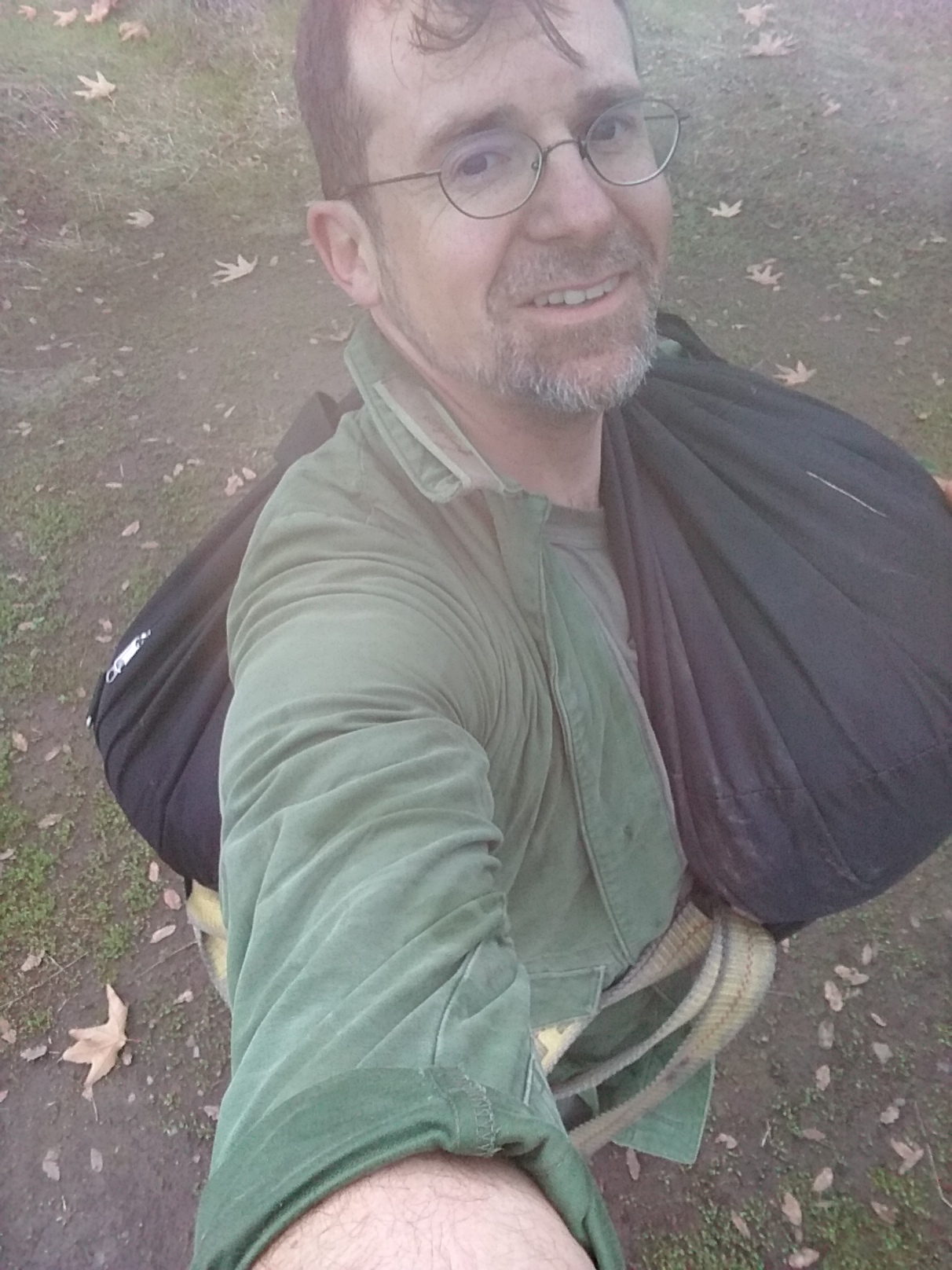 No Sandman Left Behind – Lean, Solid Dogs