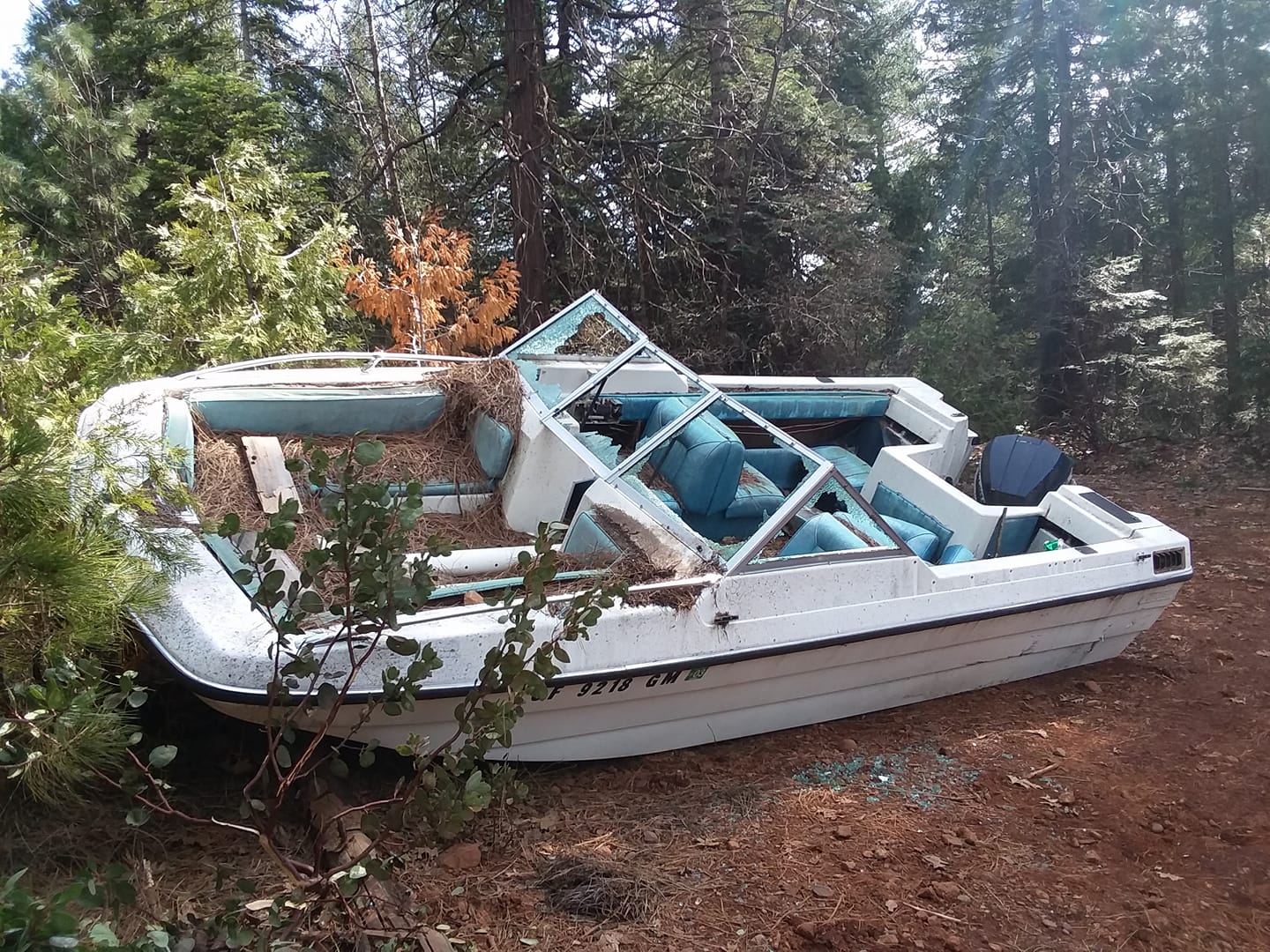 Used Vehicles – Lean, Solid Dogs