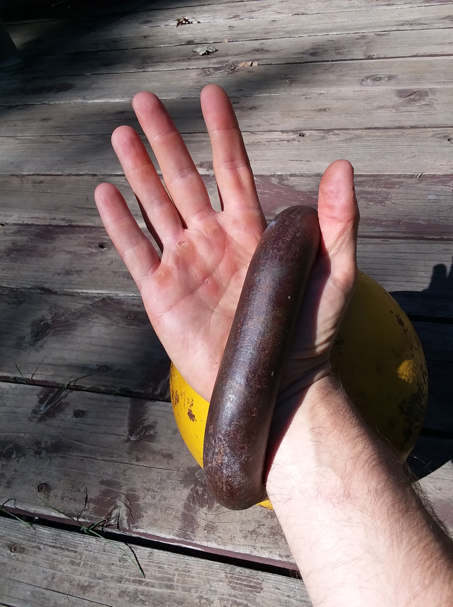 Girevoy Sport (Pt. 2): The Snatch, “Tsar of Kettlebell Exercises” – Lean, Solid Dogs