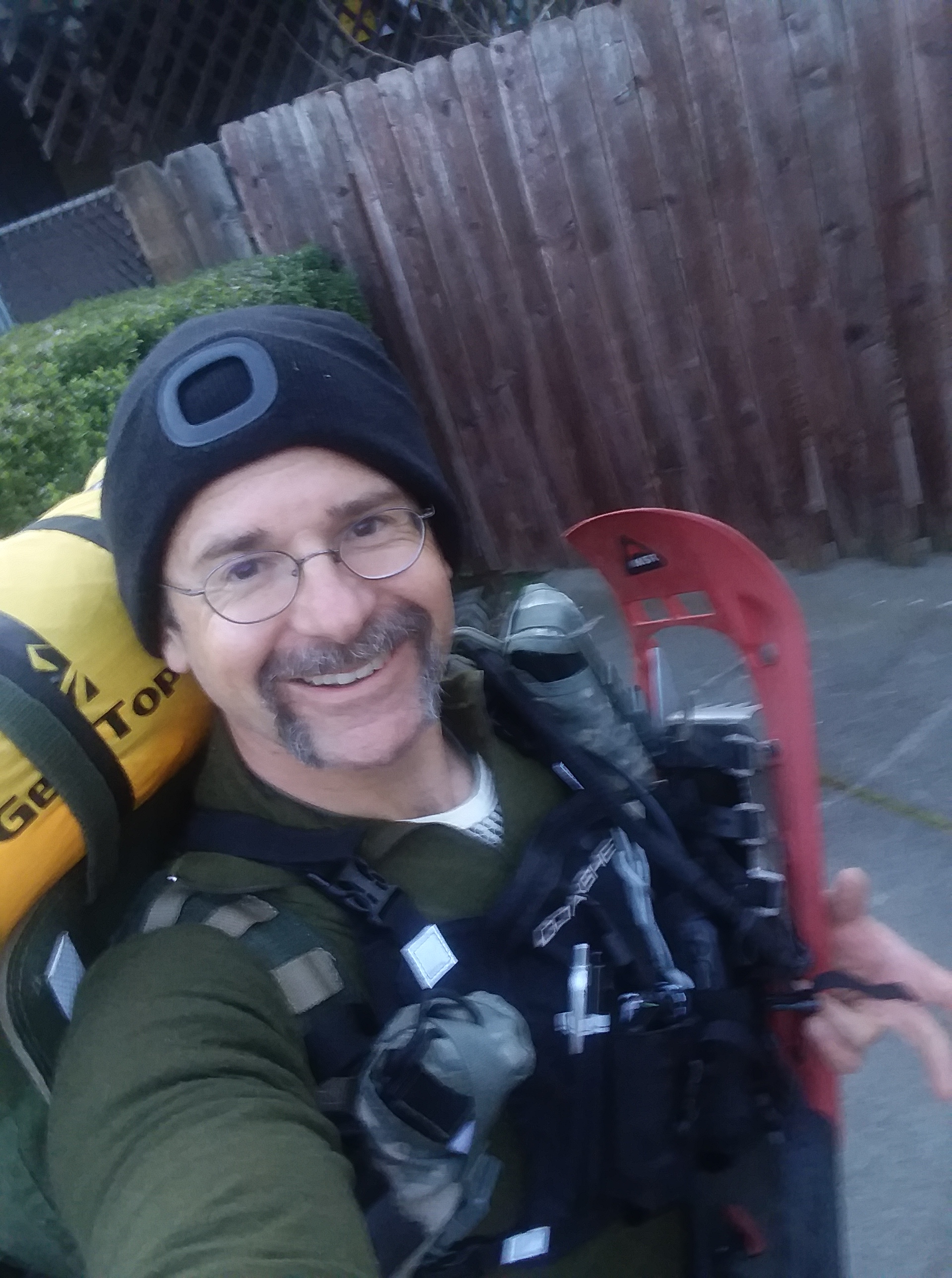 Reset – Lean, Solid Dogs