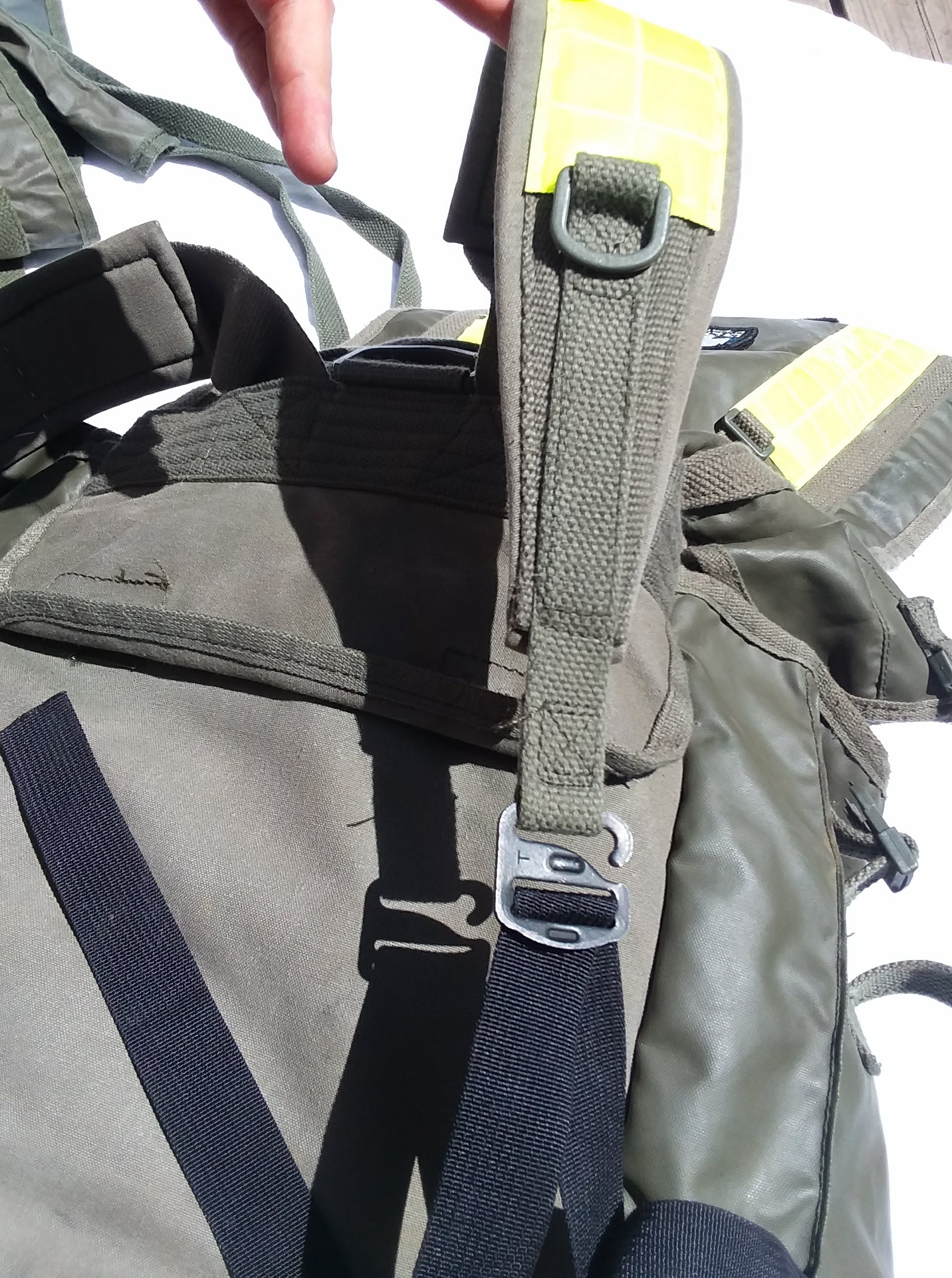 20200623_123332 – Lean, Solid Dogs