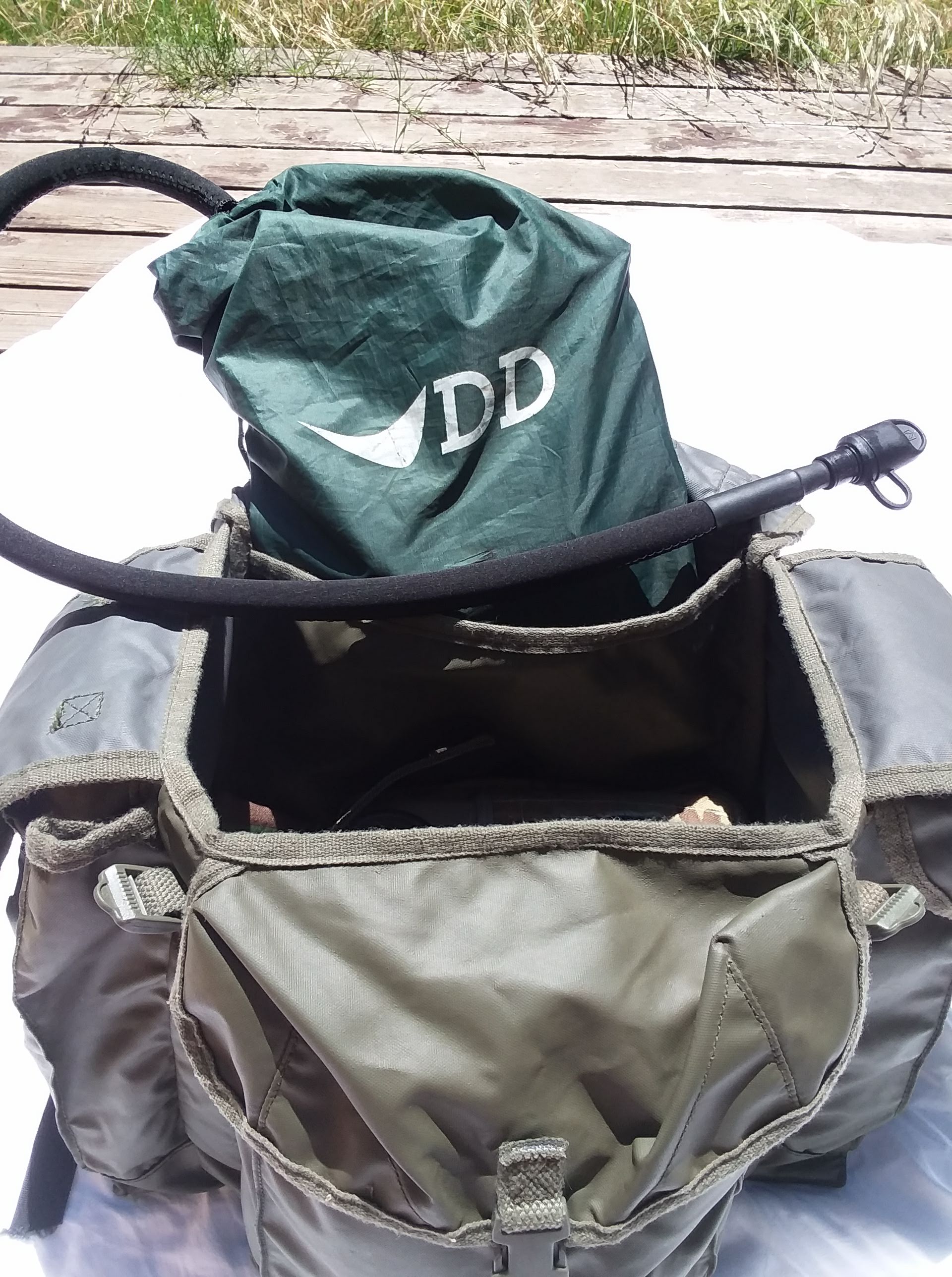 20200623_125353 – Lean, Solid Dogs