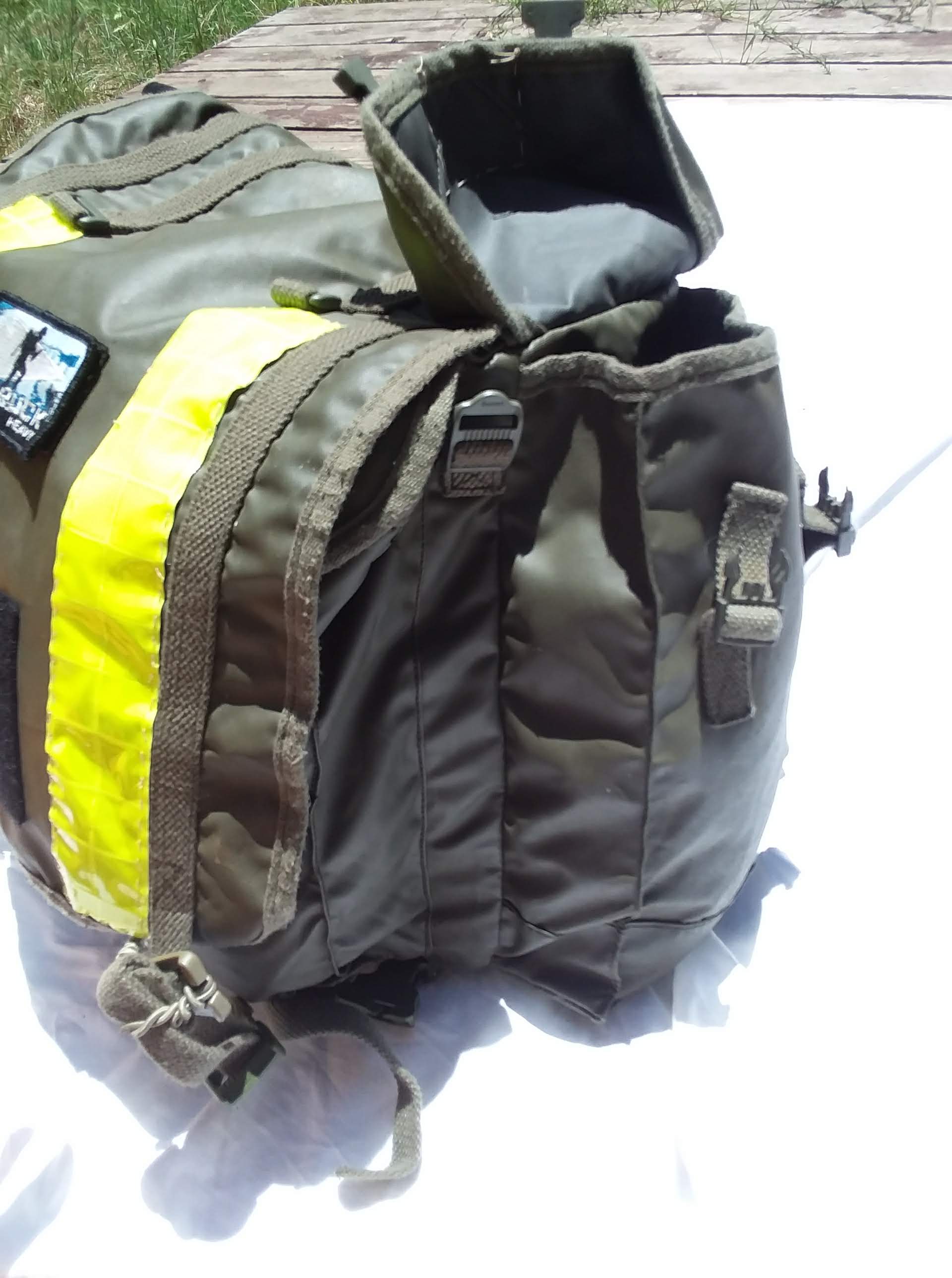 20200623_125507 – Lean, Solid Dogs