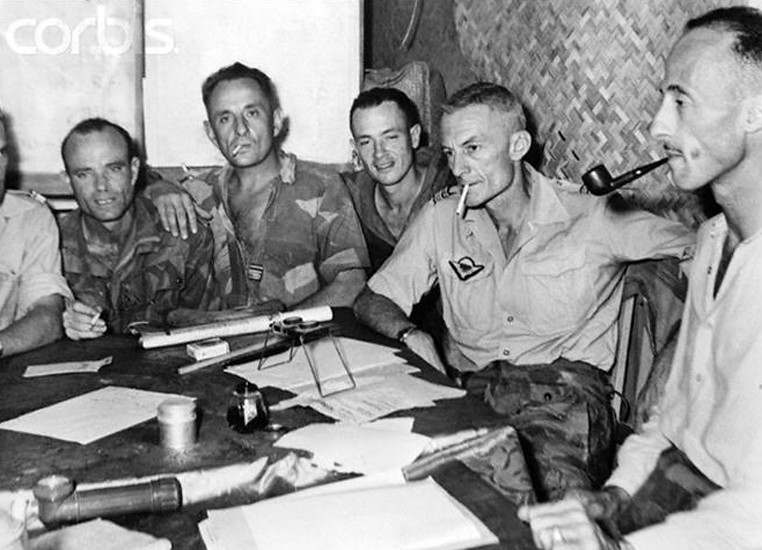 Chat maigre: French for “lean, solid dog” – Lean, Solid Dogs