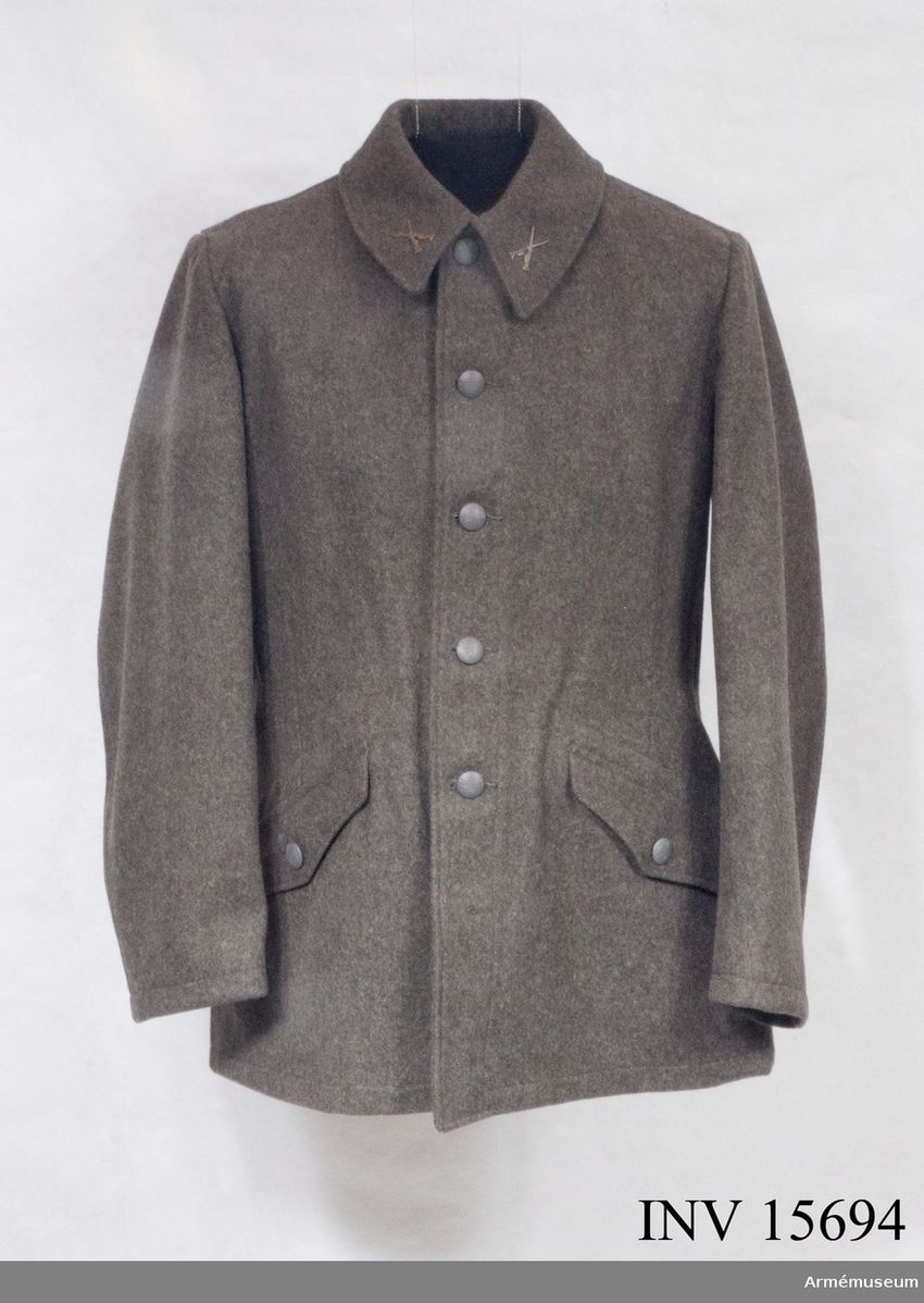 Nutria Brown – Lean, Solid Dogs