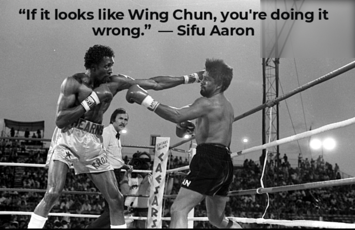 Duran 2 – final – Lean, Solid Dogs